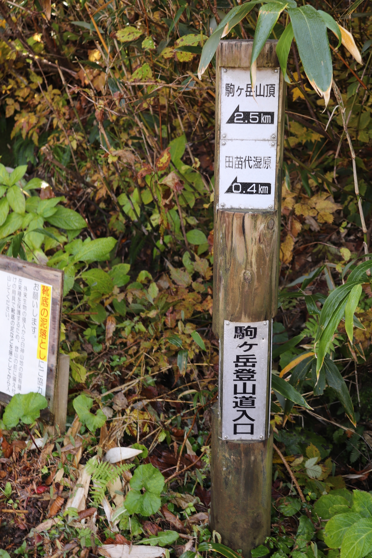 藤里駒ケ岳～黒石沢口: 降魔成道のオフタイム3