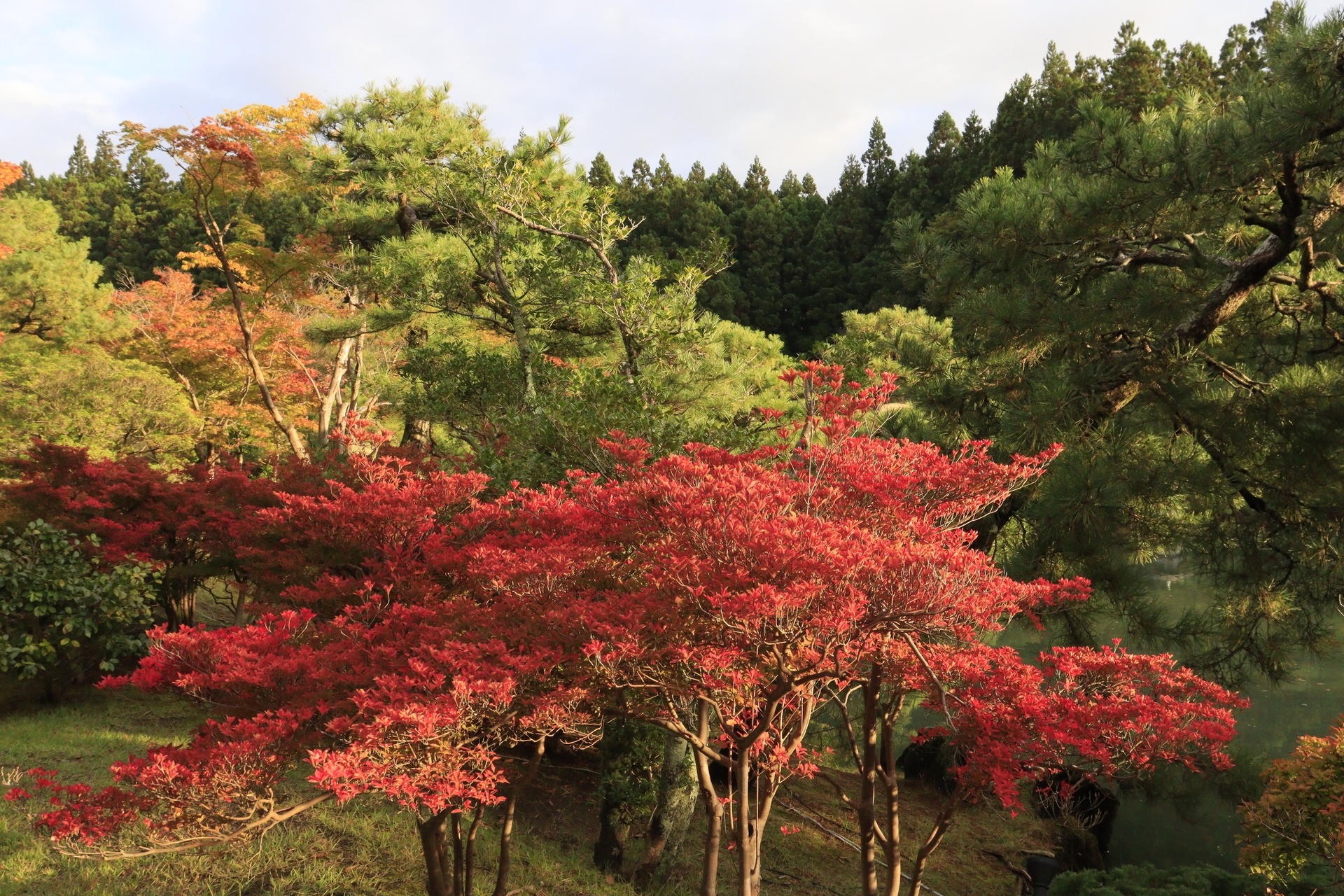 HOTTAー『払田柵跡』発掘半世紀ー と水心苑の紅葉: 降魔成道のオフタイム3